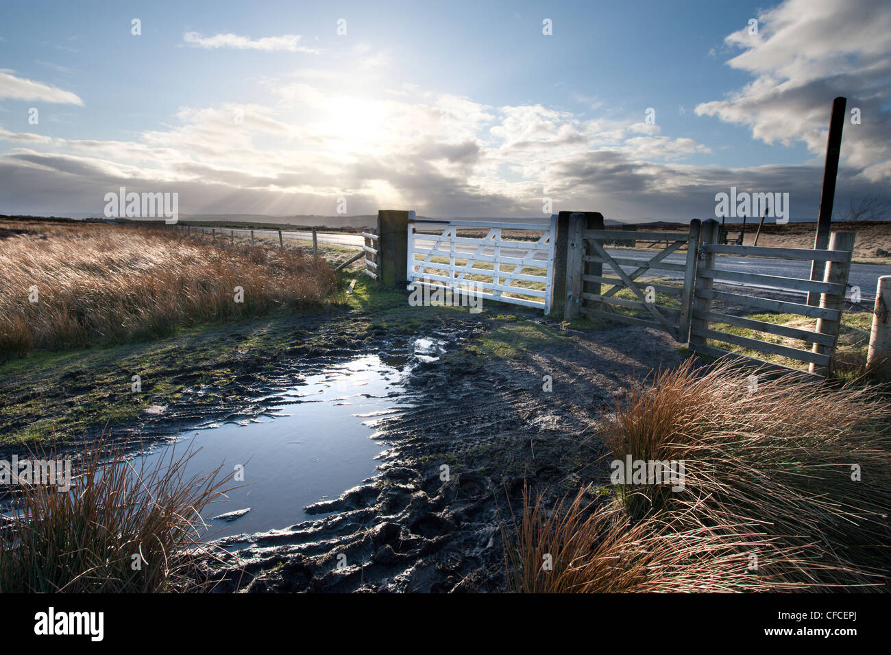 Gates in a field hi-res stock photography and images - Alamy