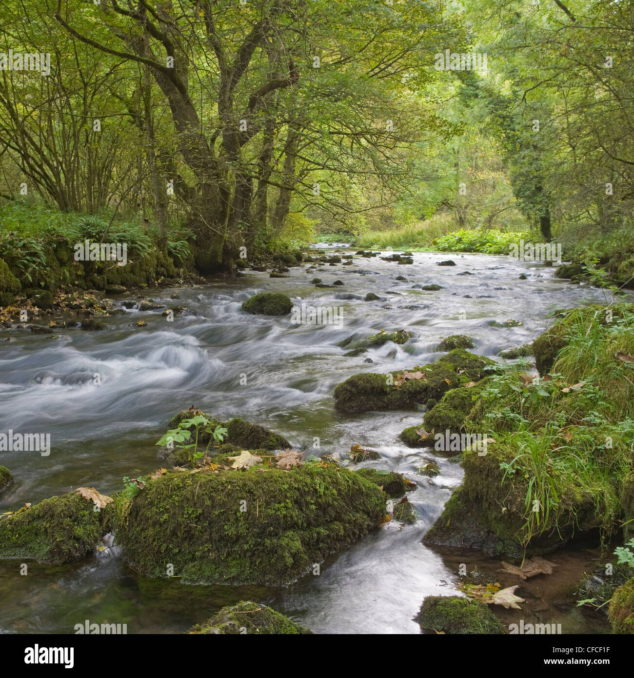 The River Wye Stock Photo - Alamy