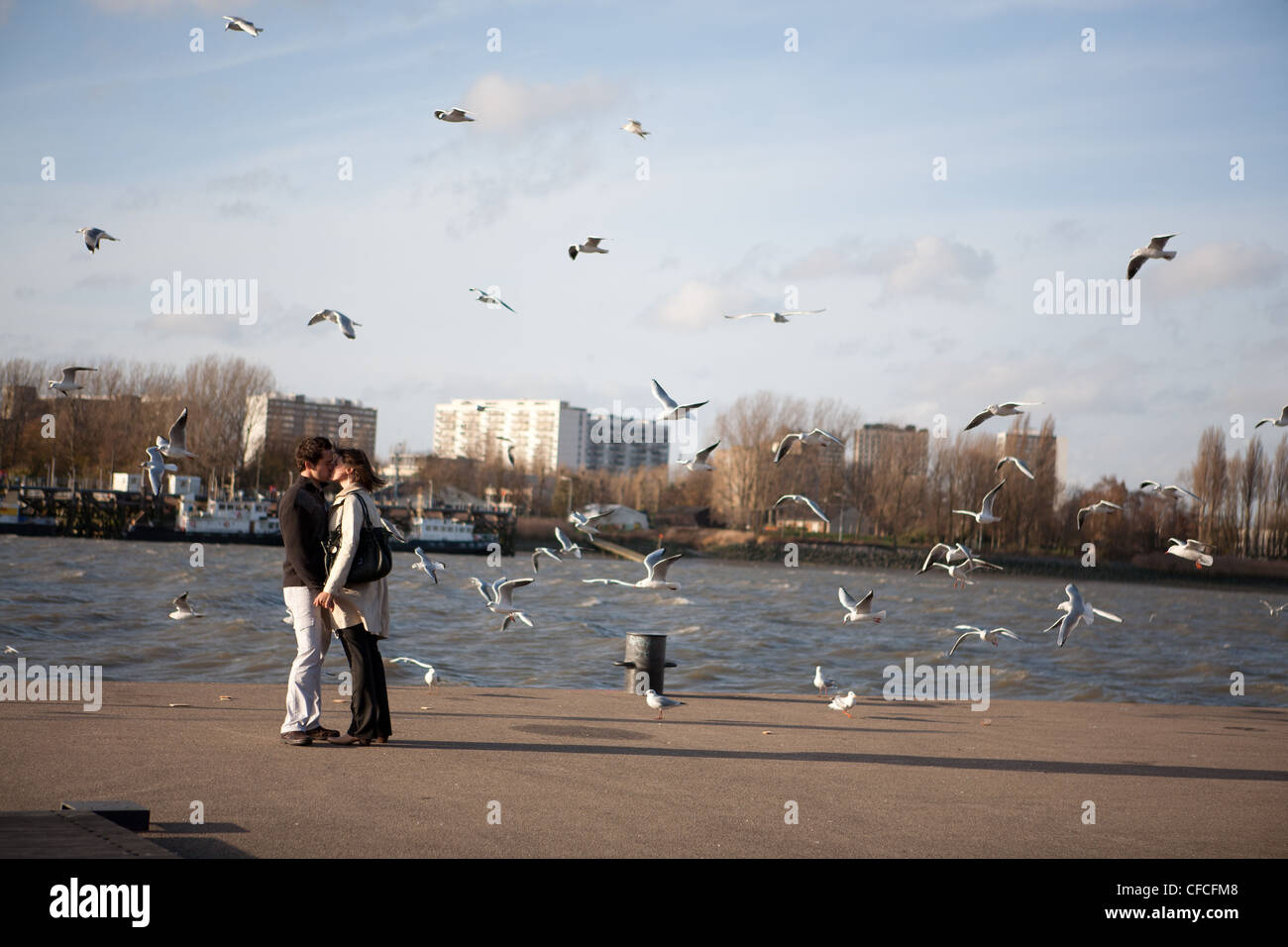Around schelde river hi-res stock photography and images - Alamy
