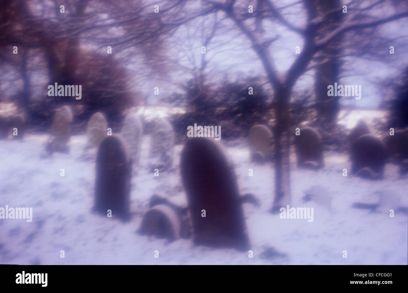 Graveyard weed hi-res stock photography and images - Alamy