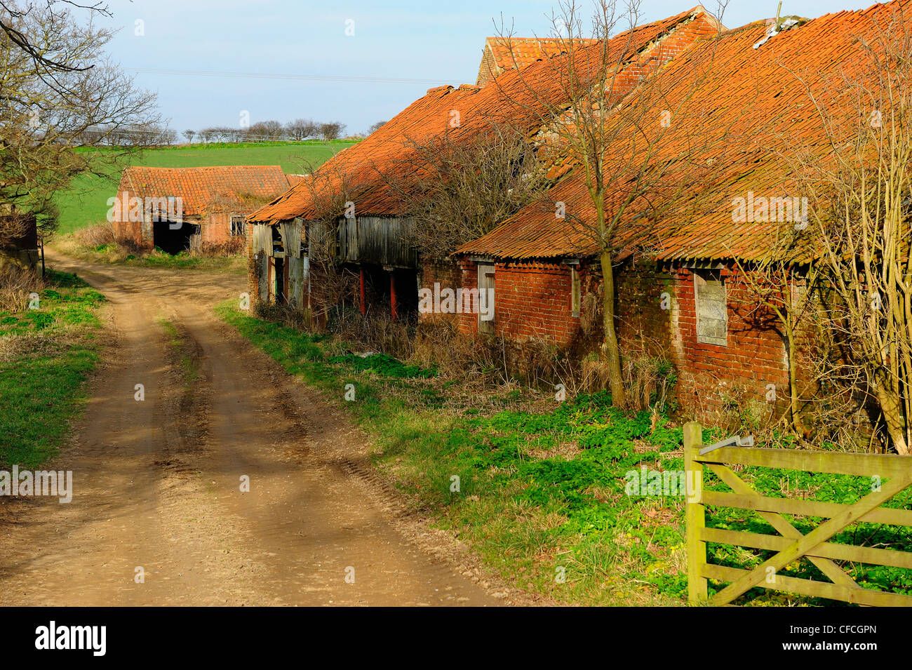 Derelict farm buildings, constructed from red bricks and norfolk ...