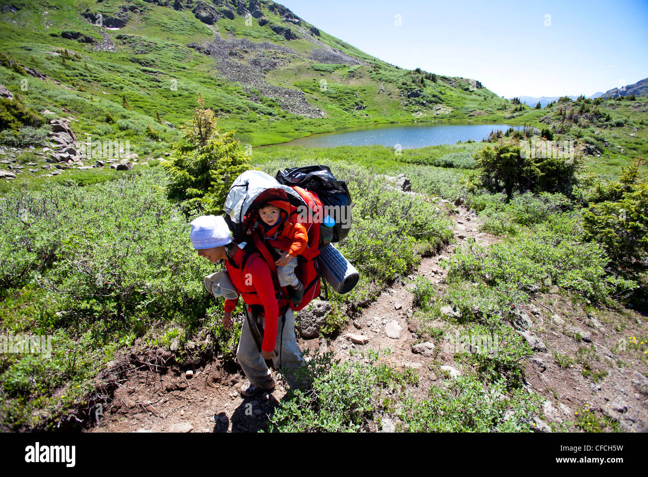 a woman hikes above tree line on Williams Creek Trail (trail number 587 ...