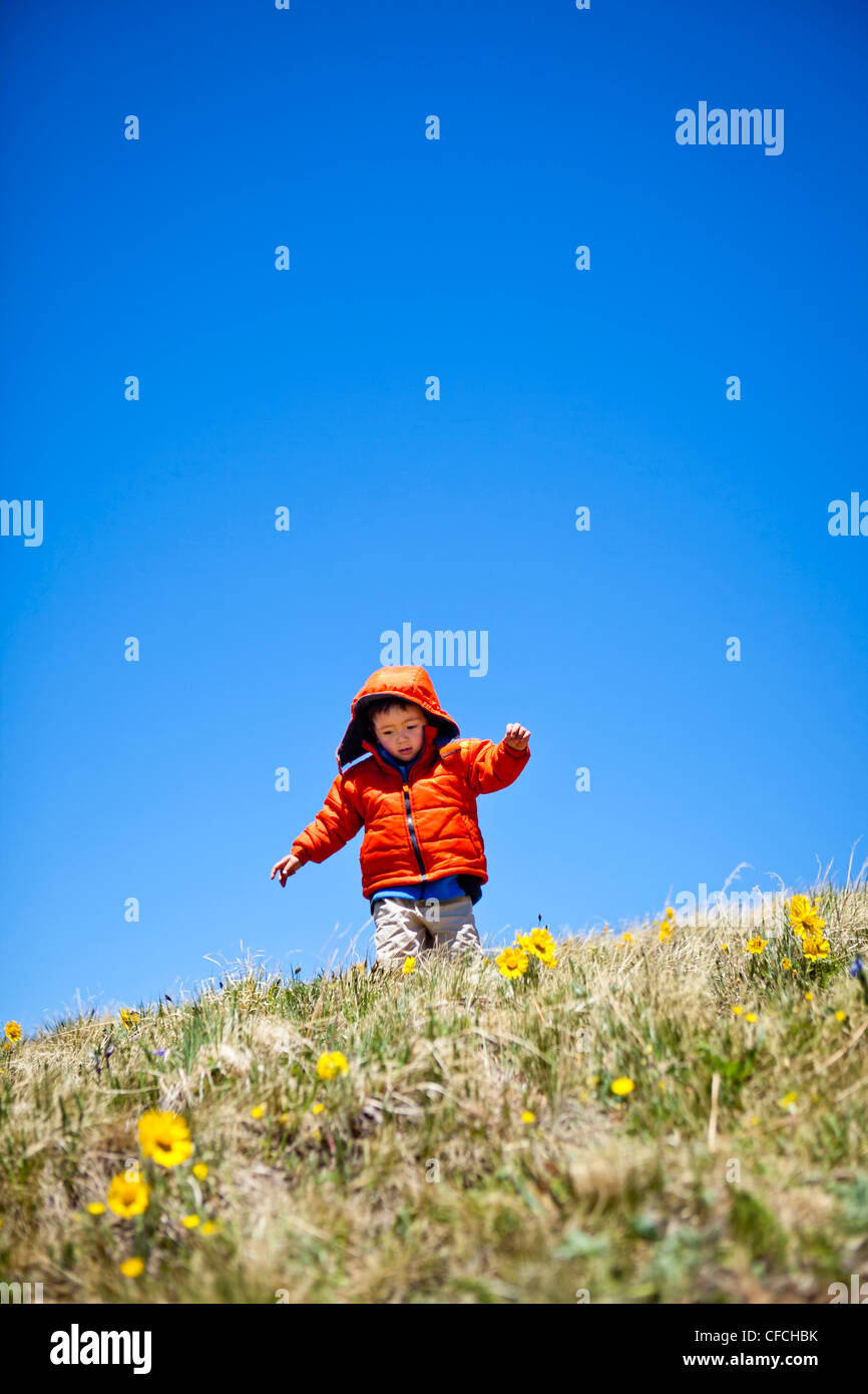 Old squaw hi-res stock photography and images - Alamy