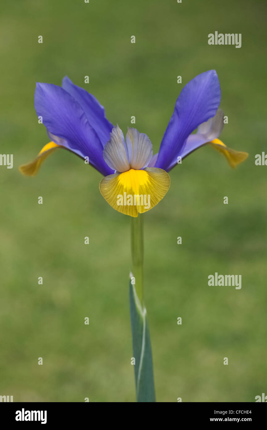 Upright picture hi-res stock photography and images - Alamy