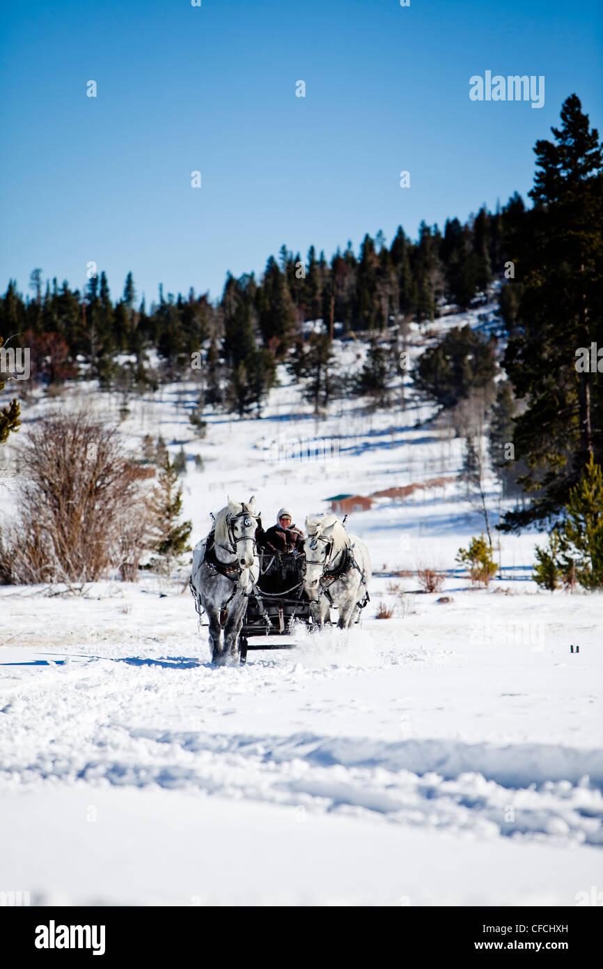 Sleigh In Winter Stock Photos & Sleigh In Winter Stock Images - Alamy