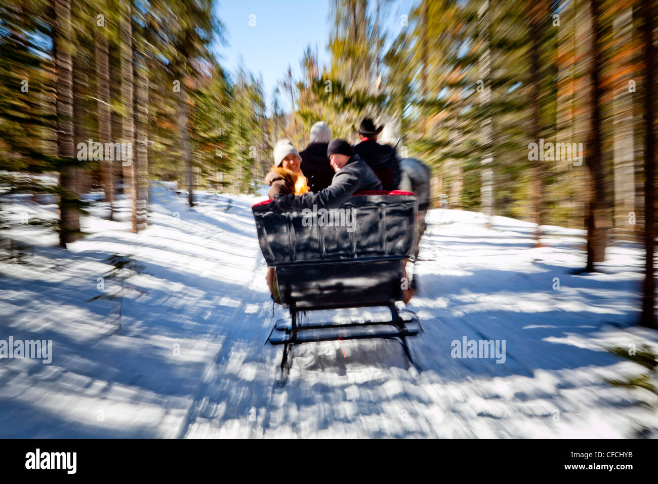 friends sit under blankets in the winter, on snow filled sleigh ride ...