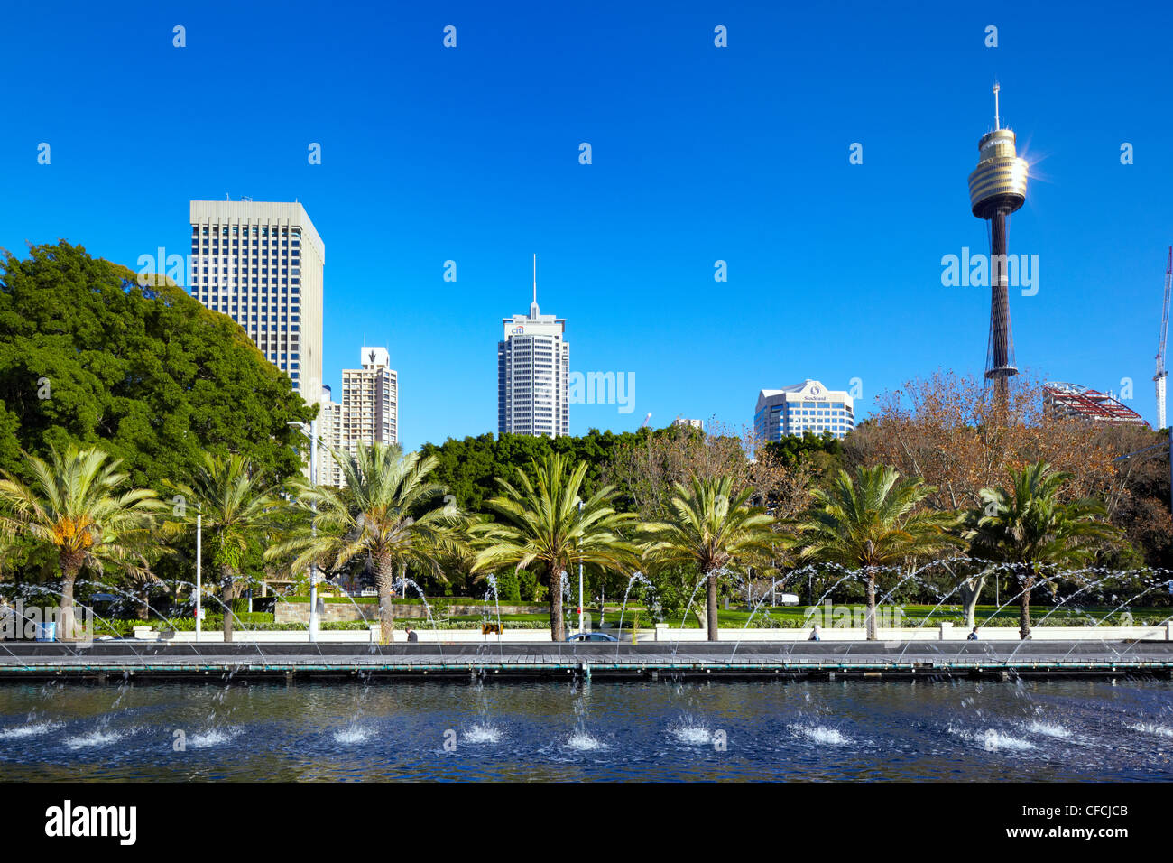 View of Sydney from Cook + Phillip Park Aquatic and Fitness Centre ...