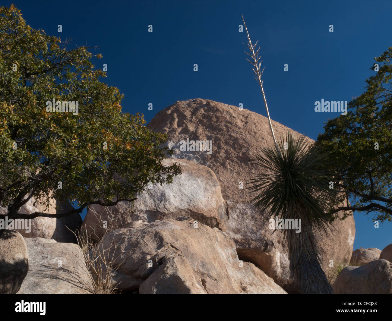 Desert canyon climb up rock hi-res stock photography and images - Alamy
