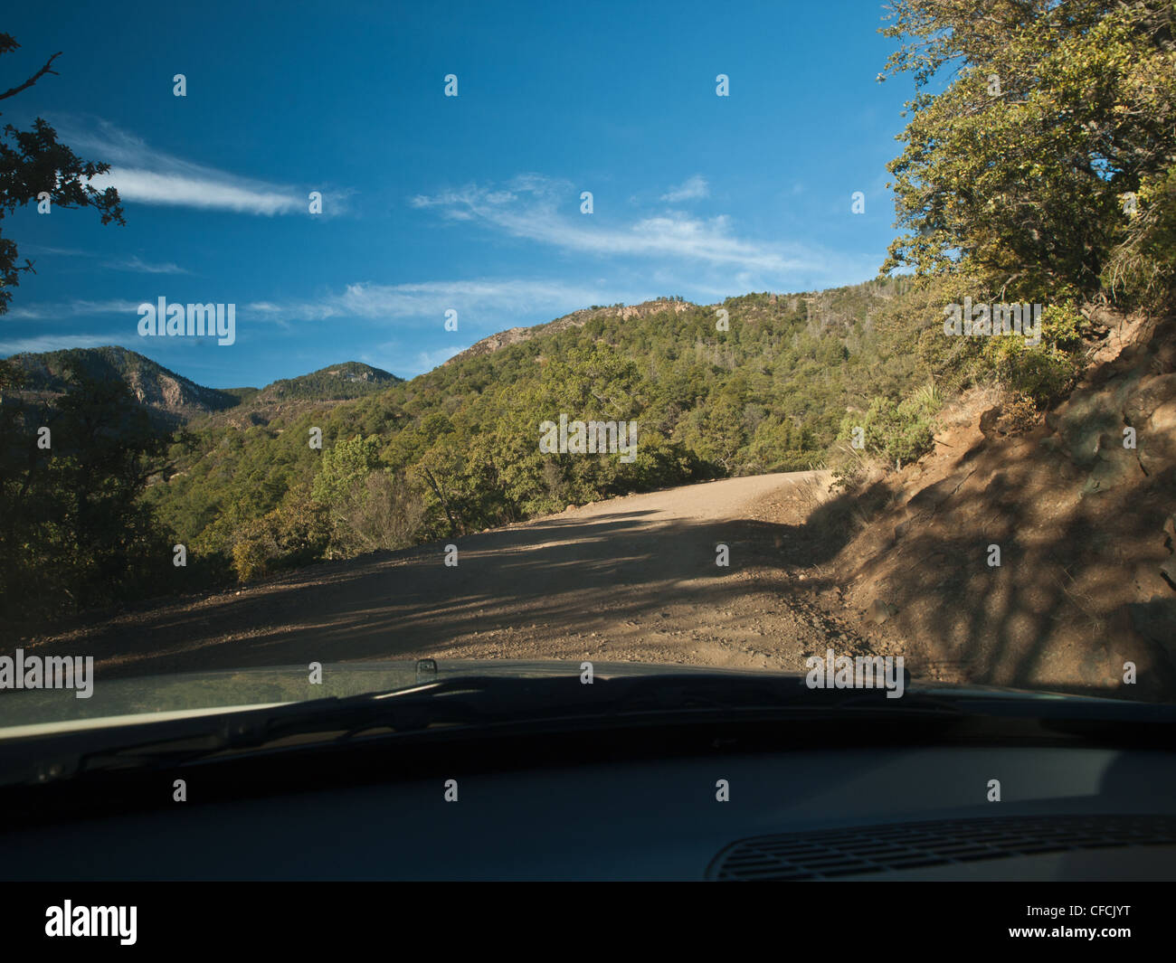 High Desert Trees Stock Photo - Alamy