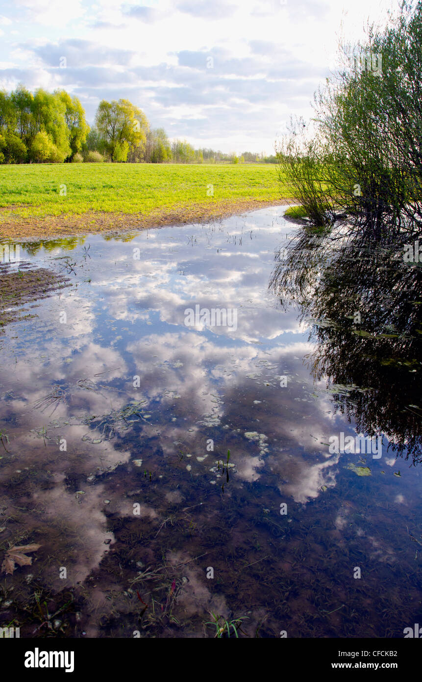 spring landscape with crop field and water Stock Photo - Alamy