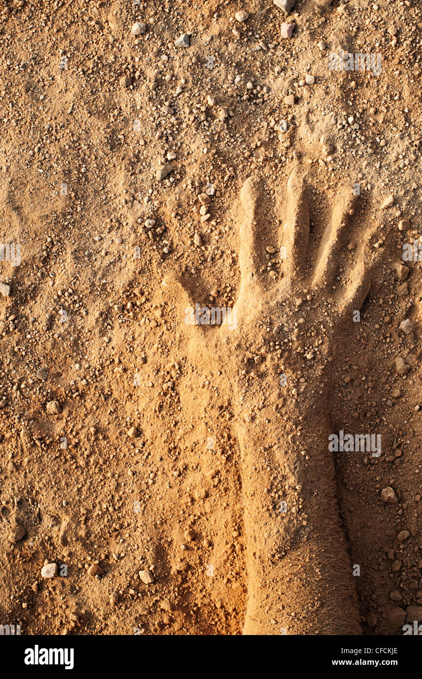 Dusty dirty covered hand Stock Photo - Alamy