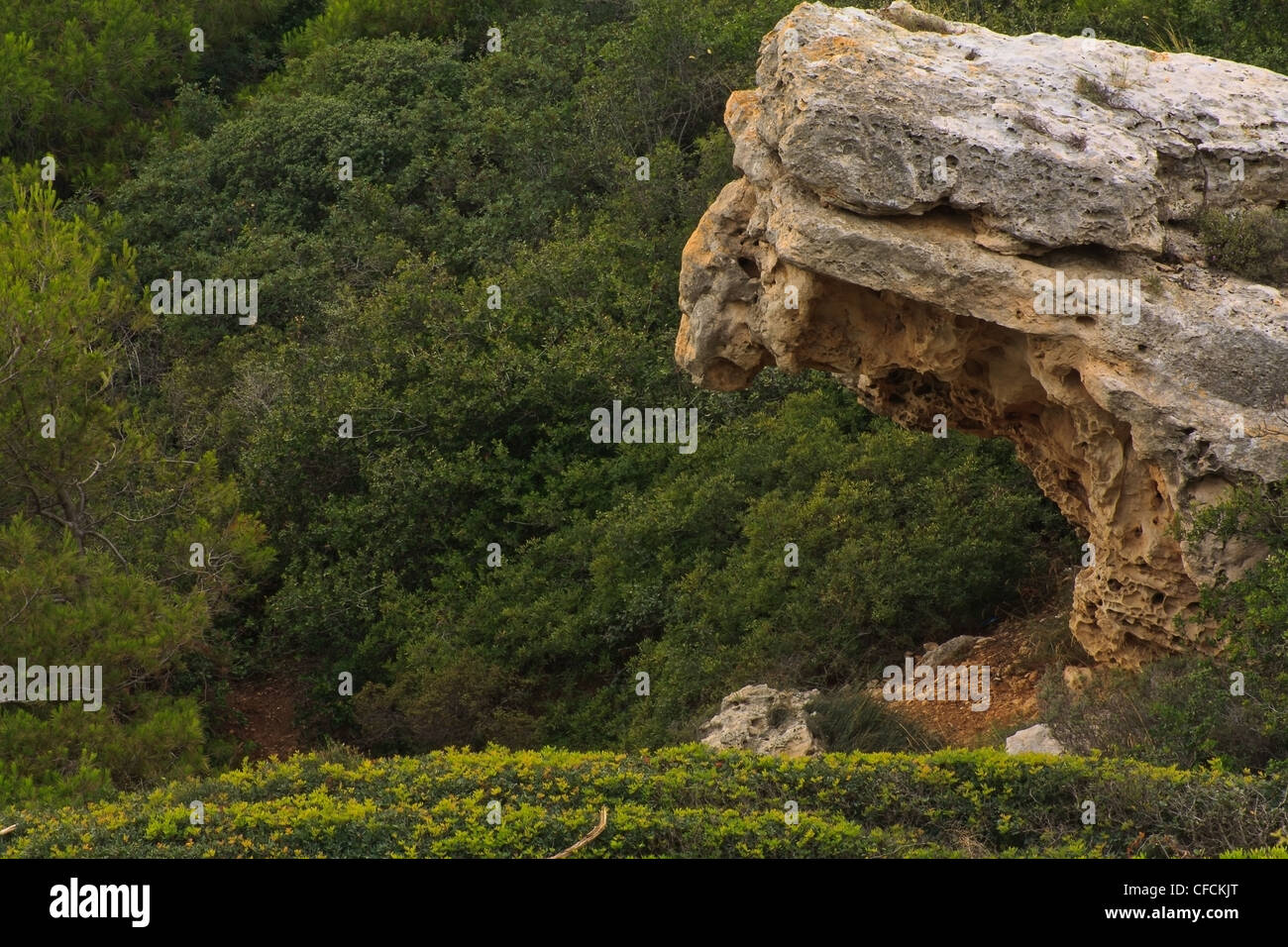 Animal rock shape hi-res stock photography and images - Alamy
