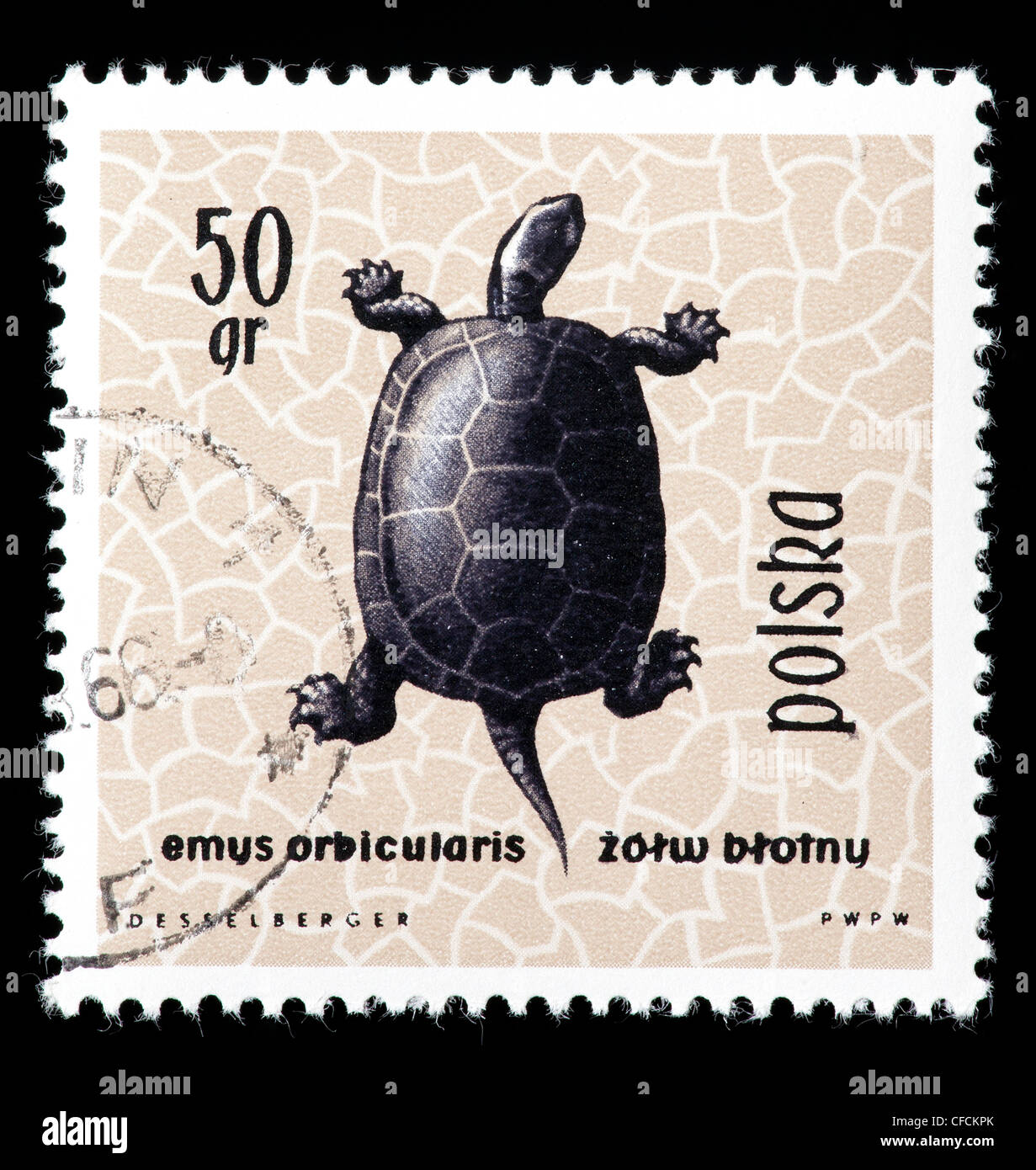 Postage stamp from Poland depicting a European pond turtle (Emys ...
