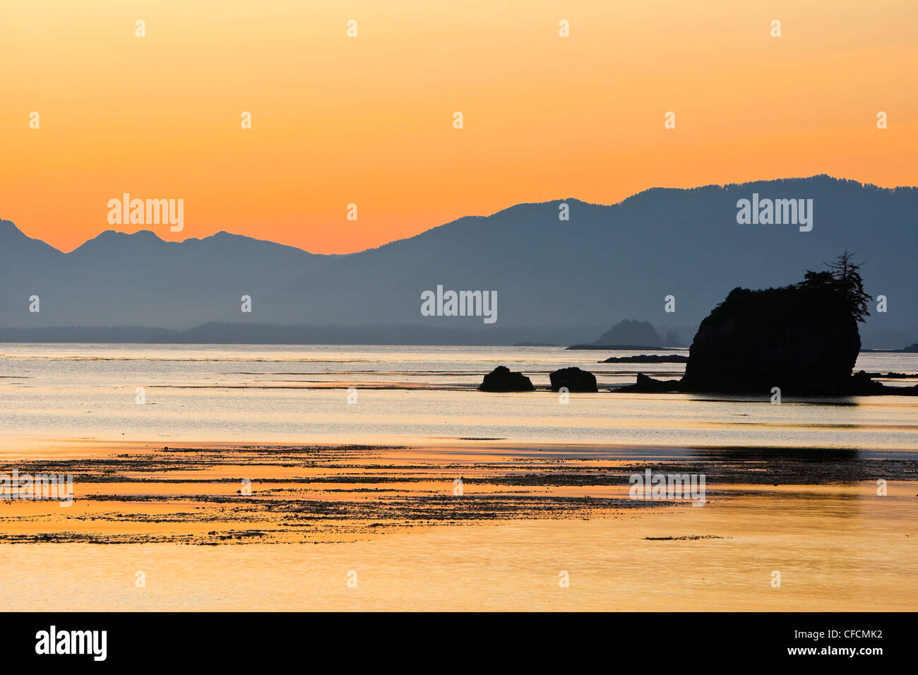 Kyuquot Sound High Resolution Stock Photography and Images - Alamy