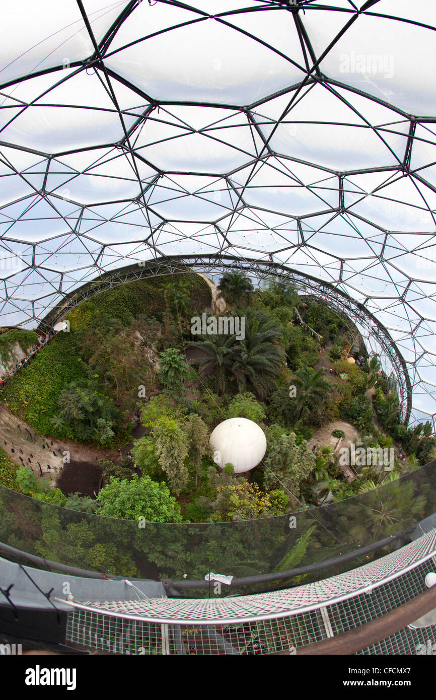 Biome roof hi-res stock photography and images - Alamy
