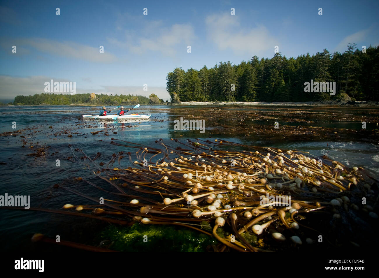Diverse friends columbia hi-res stock photography and images - Alamy