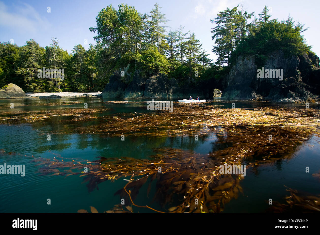 Kyuquot sound hi-res stock photography and images - Alamy