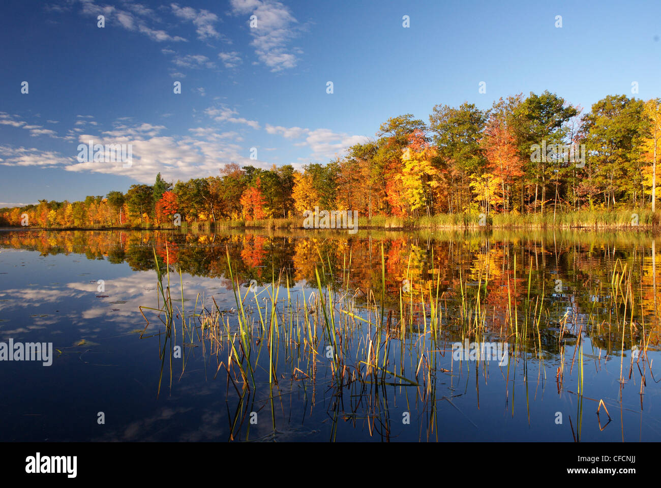 Muskoka lakes region hi-res stock photography and images - Alamy