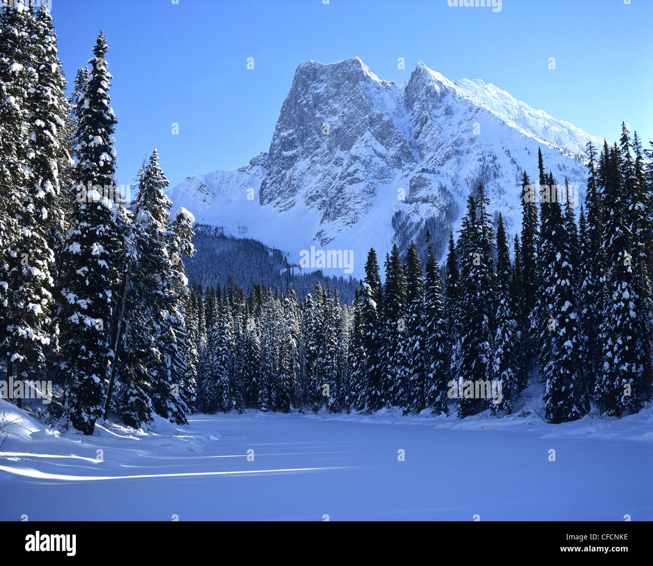 Mount burgess hi-res stock photography and images - Alamy