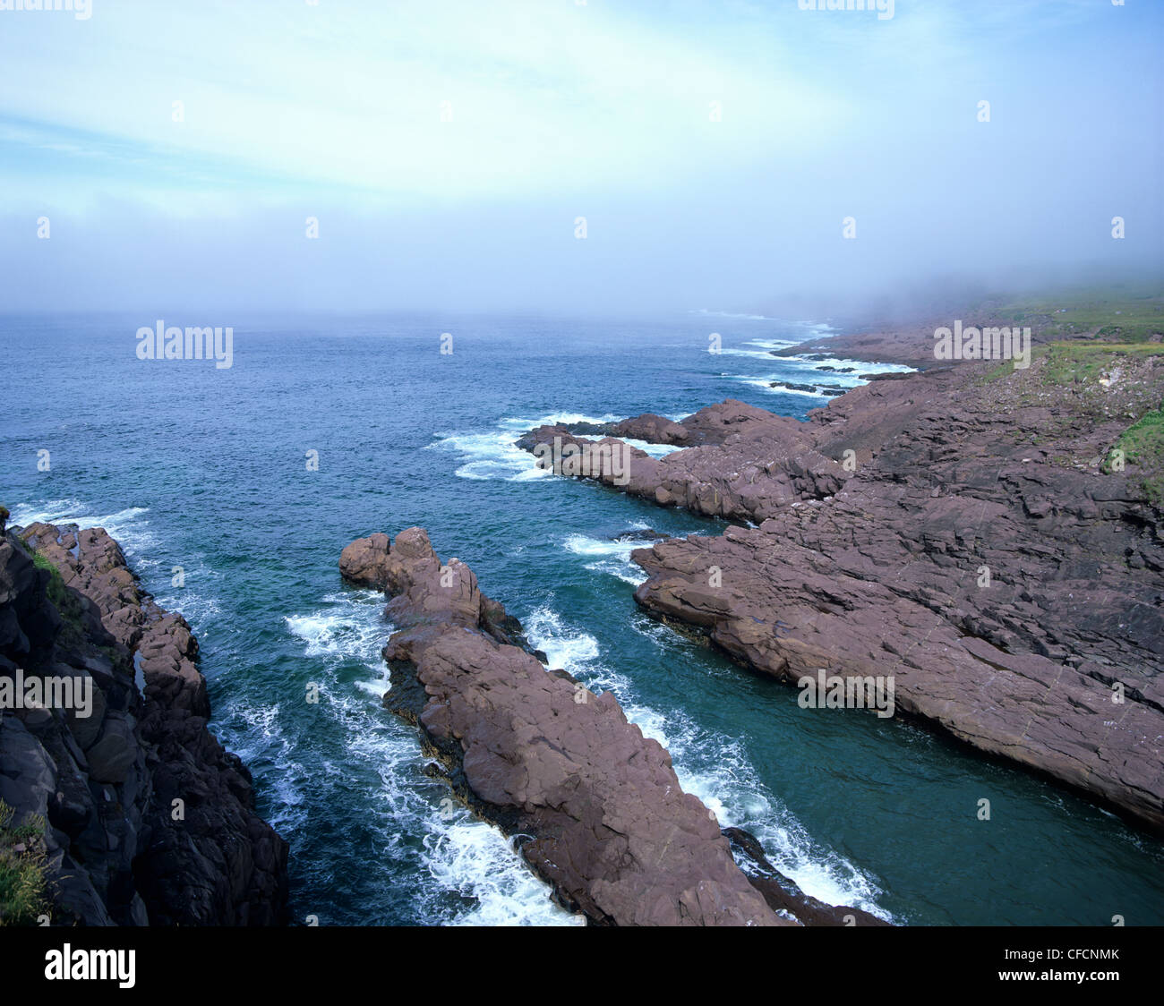 Newfoundland Coast near Cape Spear Stock Photo - Alamy