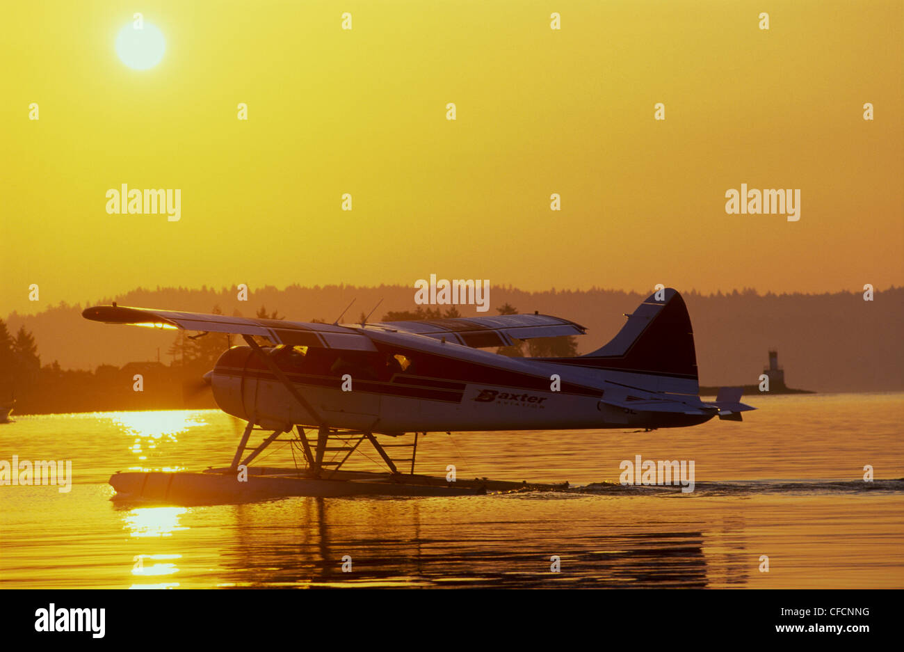 De havilland beaver float plane hi-res stock photography and images - Alamy