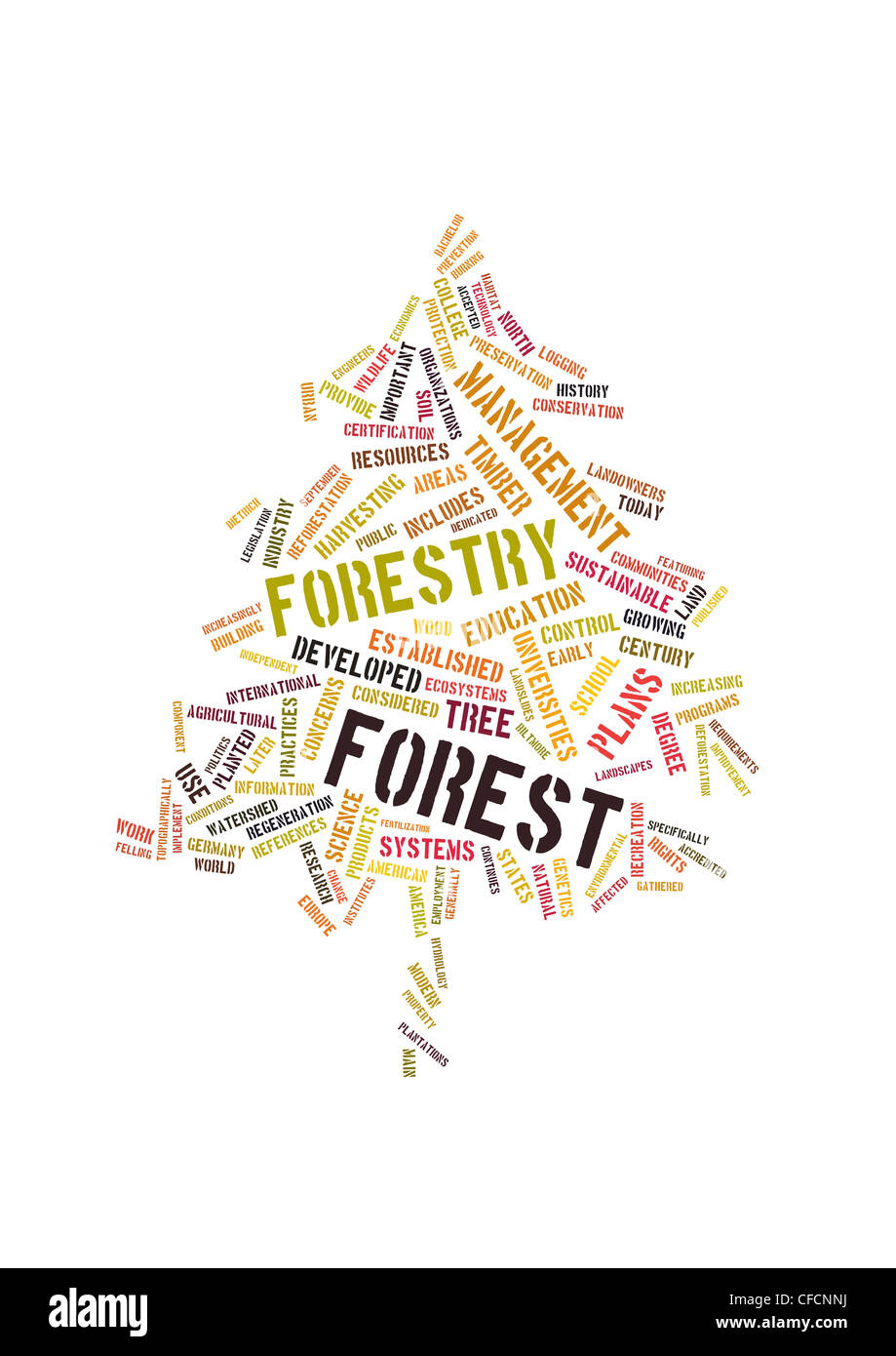 Silhouette forest single pine tree Cut Out Stock Images & Pictures - Alamy