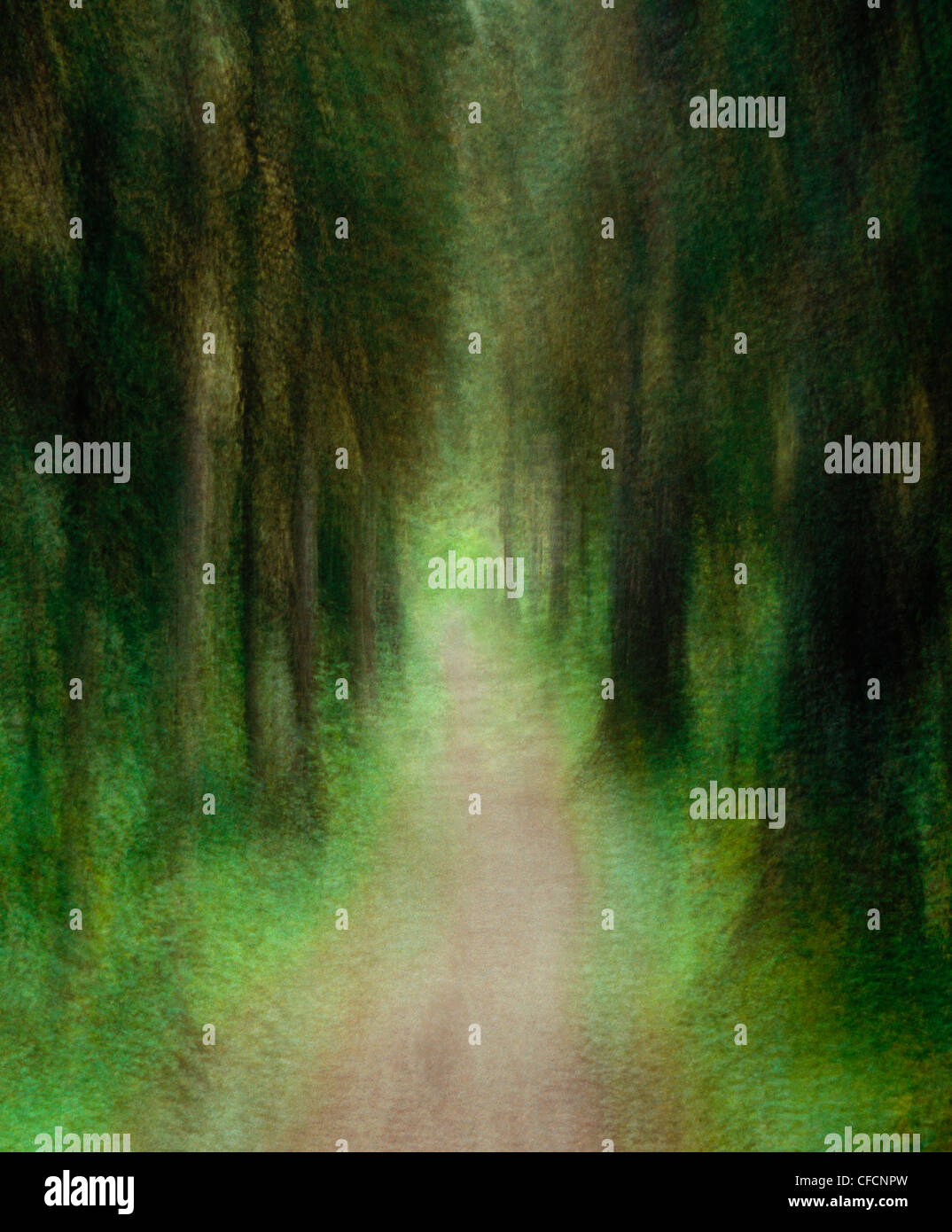 Impressionist abstract of a forest trail Stock Photo - Alamy