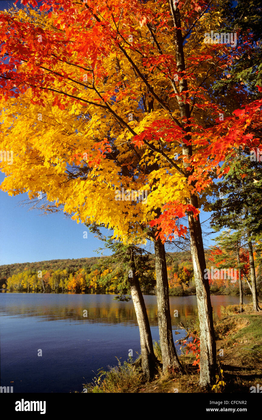 Haliburton highlands hi-res stock photography and images - Alamy