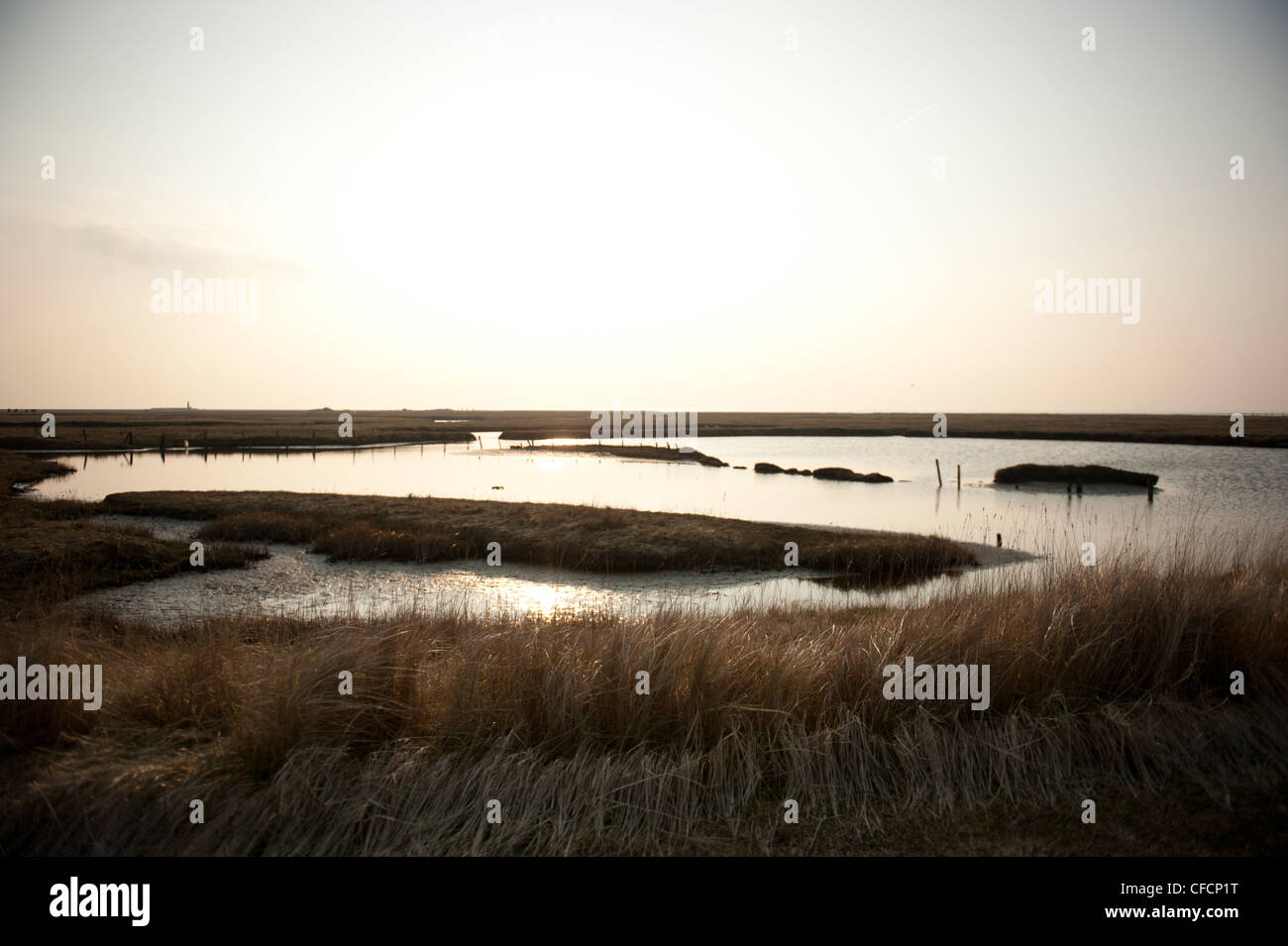 Sunrise on Hallig Langeß, a tiny island in the UNESCO world heritage ...