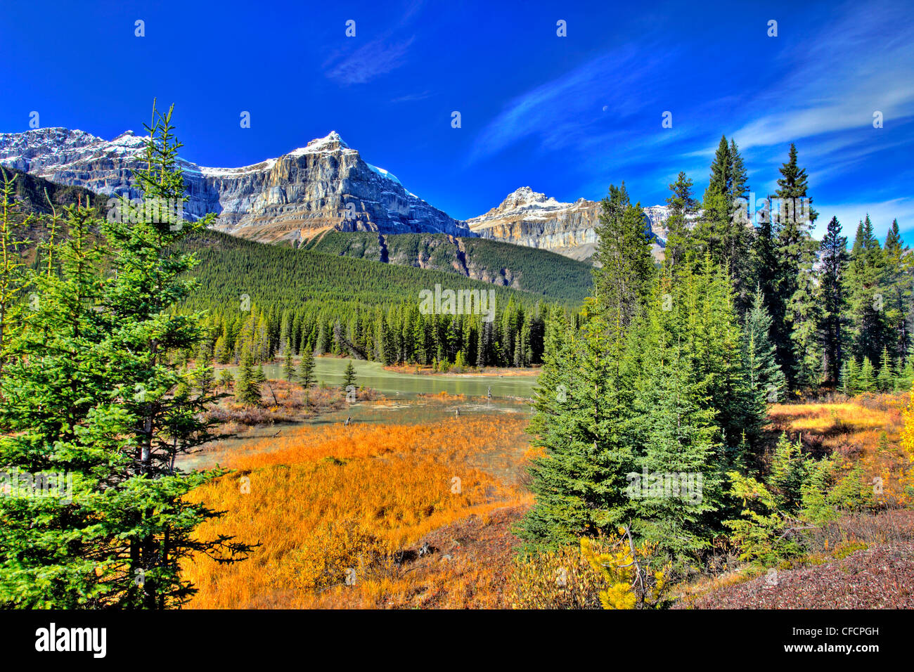 Mistaya River, Banff National Park, Alberta, Canada Stock Photo - Alamy