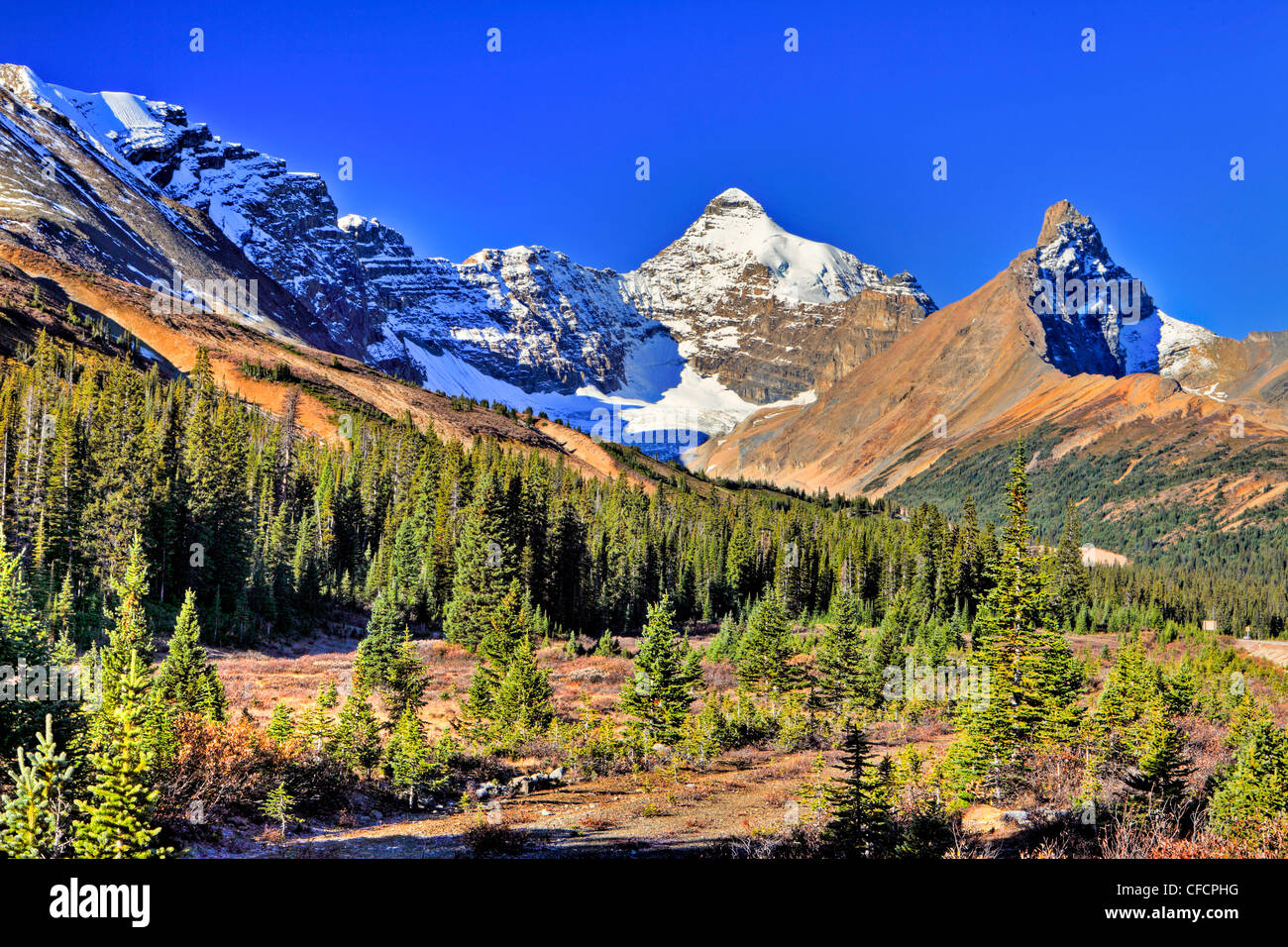 Parker Ridge, Jasper National Park, Alberta, Canada Stock Photo - Alamy