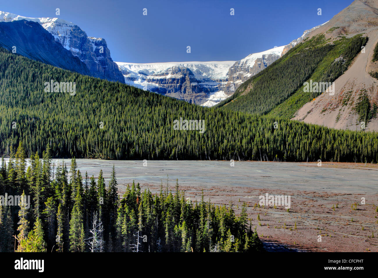 Mt Kitchener, Jasper National Park, Alberta, Canada Stock Photo - Alamy