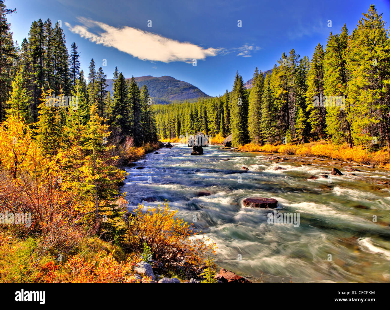 Maligne River, Jasper National Park, Alberta, Canada Stock Photo - Alamy