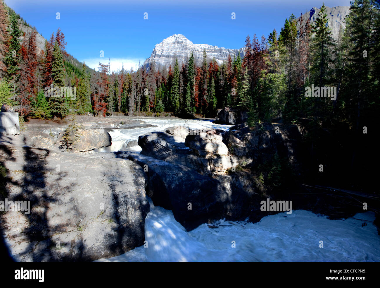 Natural Bridge, Yoho National Park, Alberta, Canada Stock Photo - Alamy