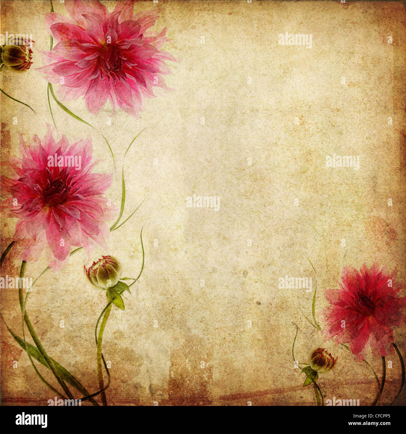 Old paper background with pink flowers Stock Photo - Alamy