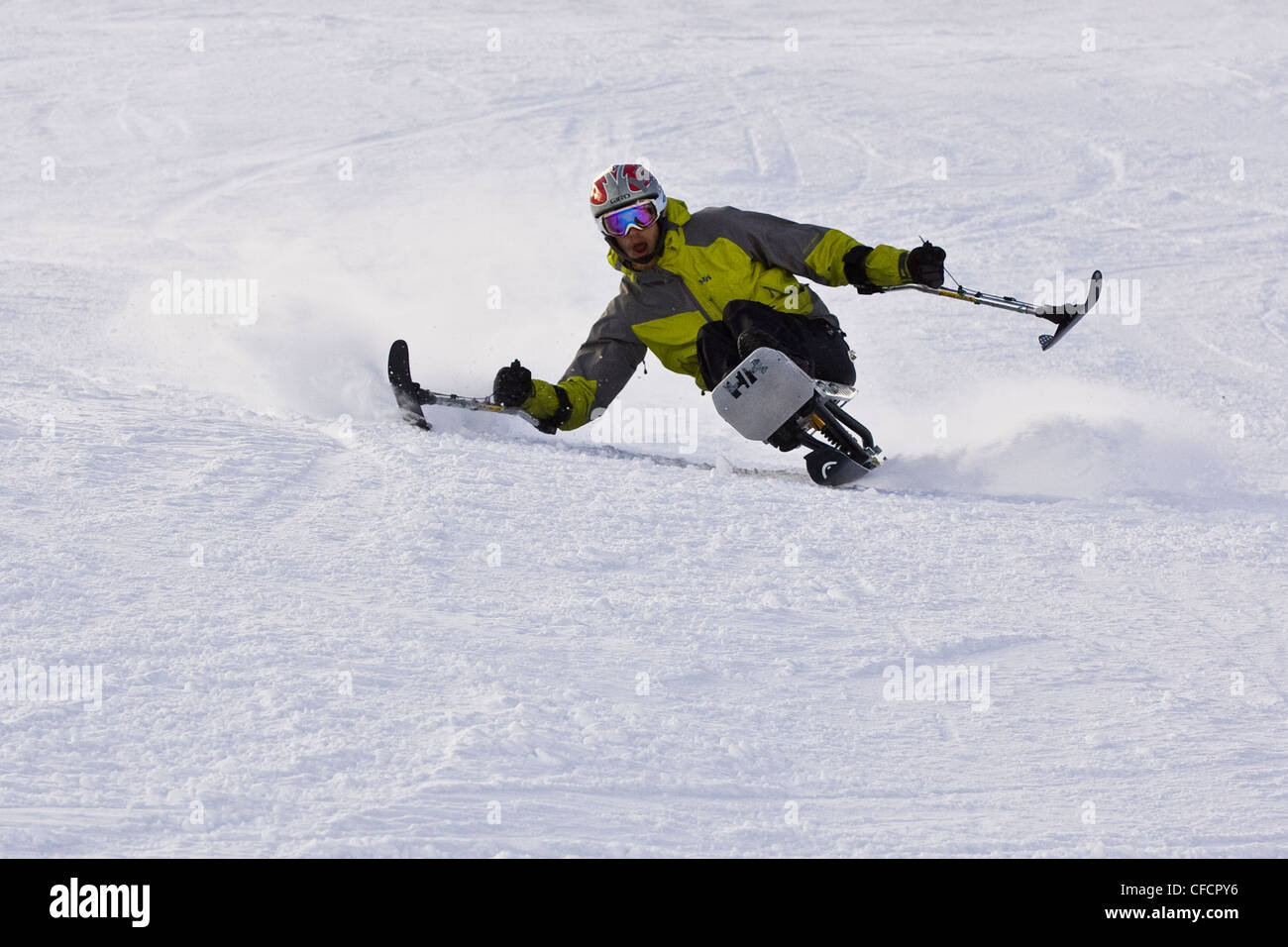 Disabled ski racer hi-res stock photography and images - Alamy