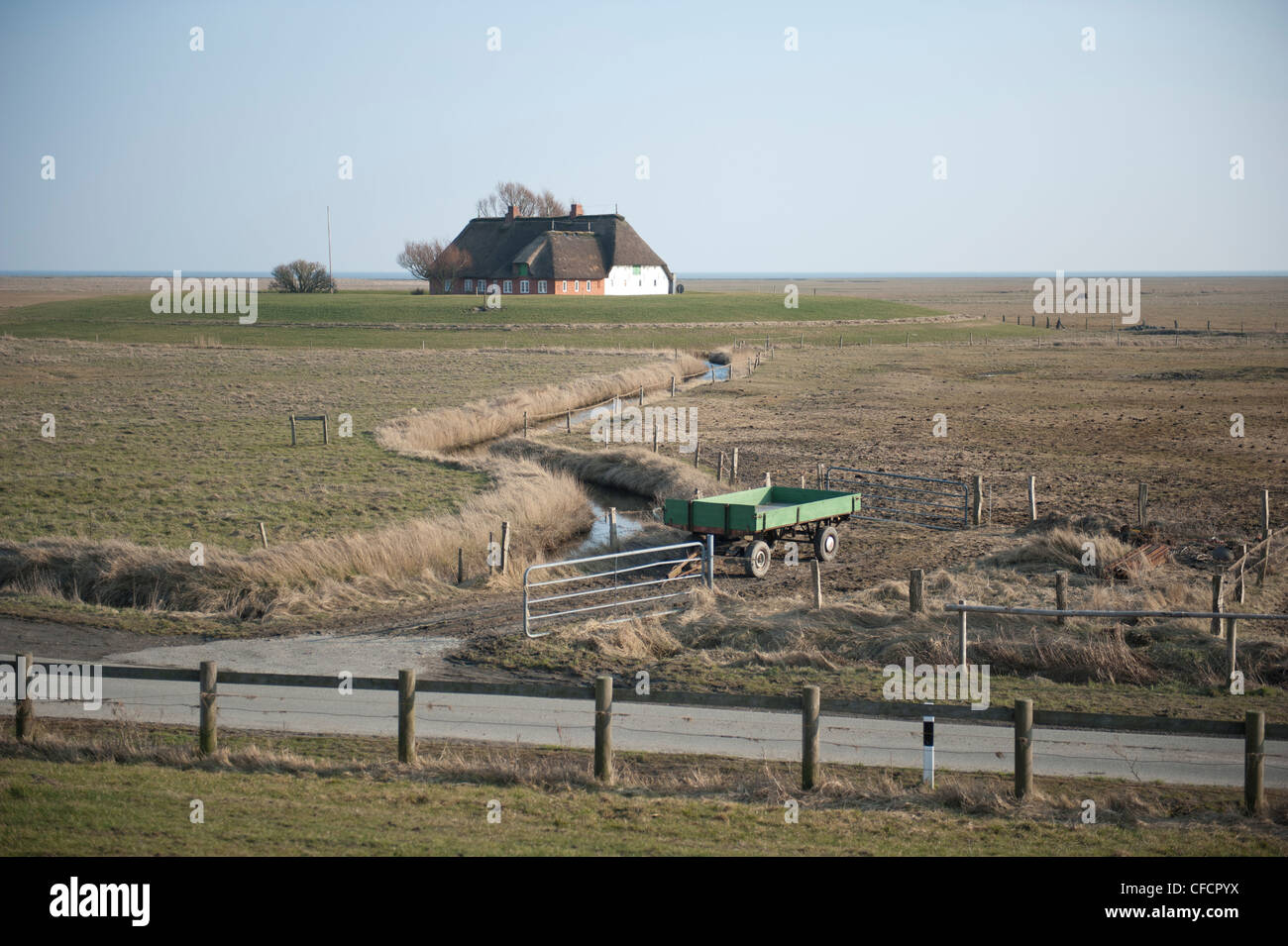 Looking across pastures to Kirchwarft on Hallig Langeneß, a wadden sea ...