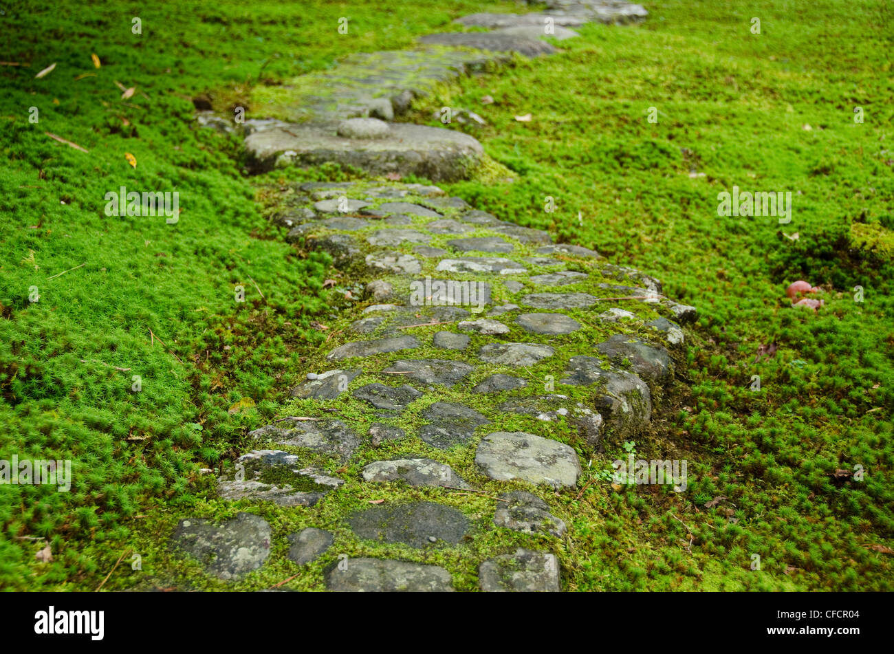 Garden path moss hi-res stock photography and images - Alamy
