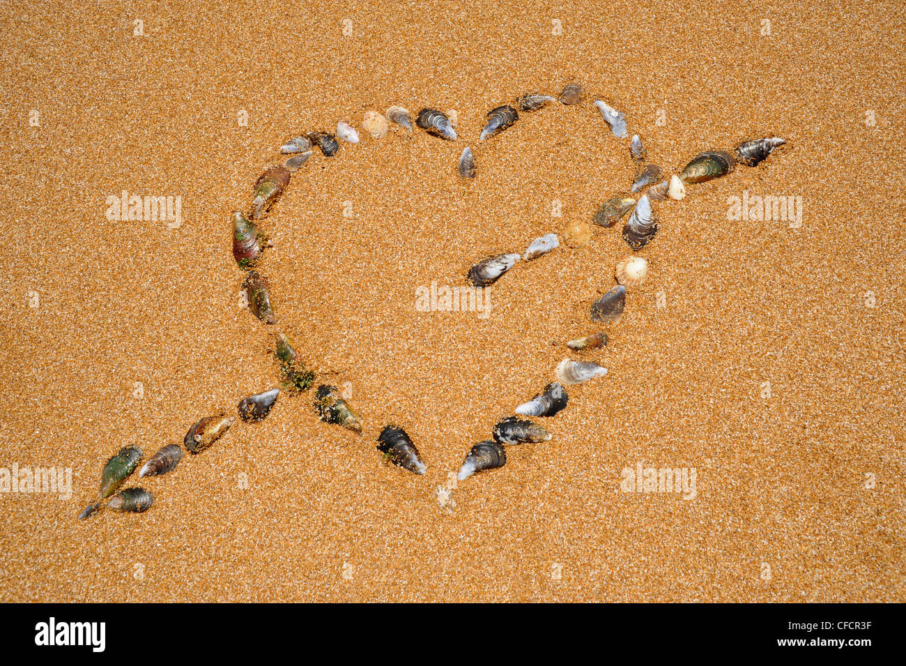 Heart made of seashells, Atlantic Coast, Morocco, Africa Stock Photo ...