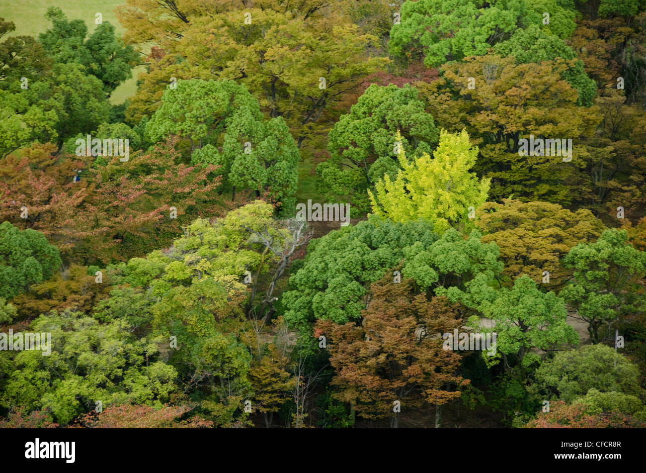 Colorful japanese abstract background hi-res stock photography and ...