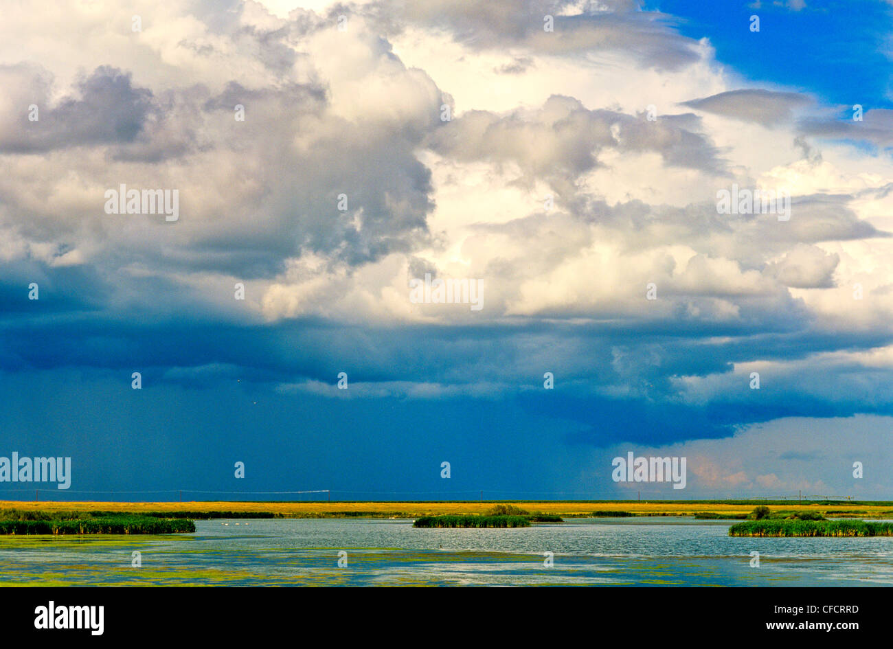 Cumulus clouds over prairie hi-res stock photography and images - Alamy
