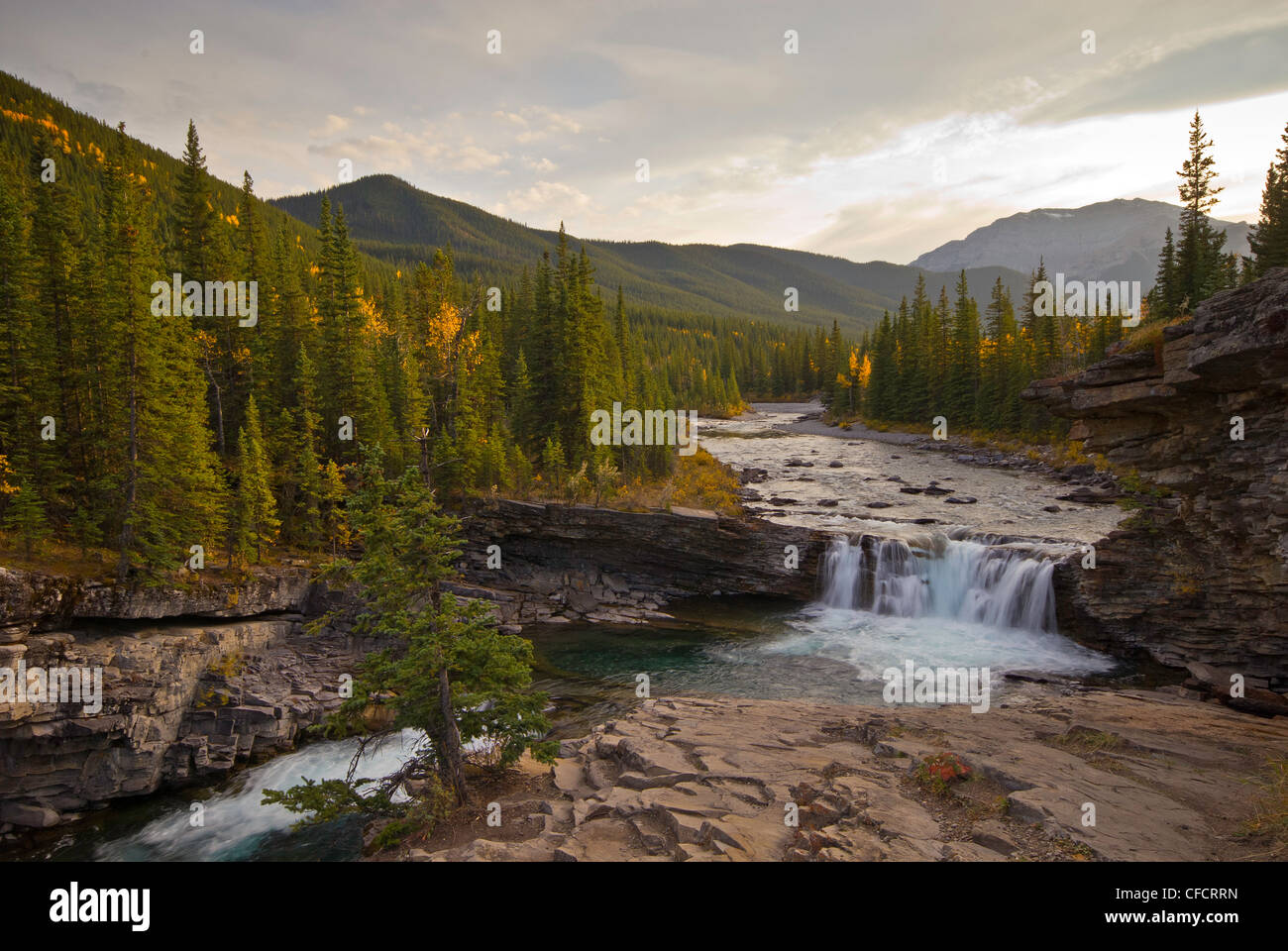 Sheep falls hi-res stock photography and images - Alamy