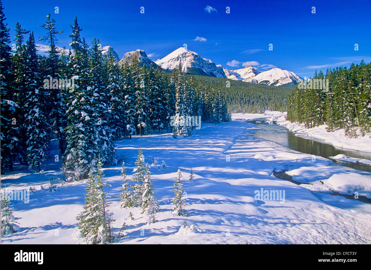 River running through Banff National Park, Alberta, Canada Stock Photo ...
