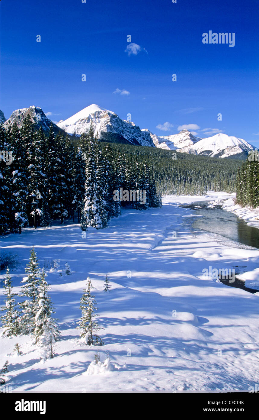 River running through Banff National Park, Alberta, Canada Stock Photo ...