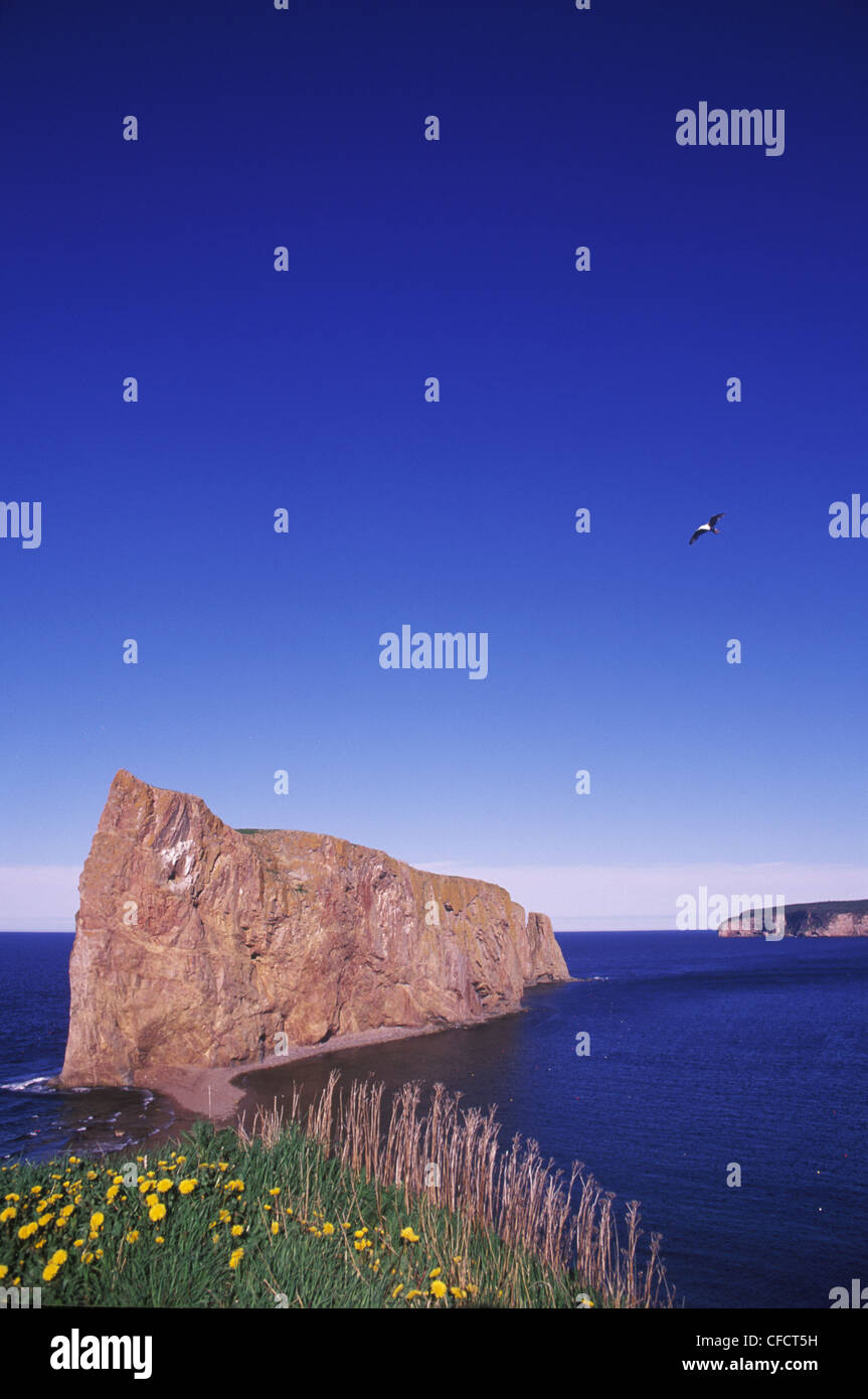 French quebecoise hi-res stock photography and images - Alamy