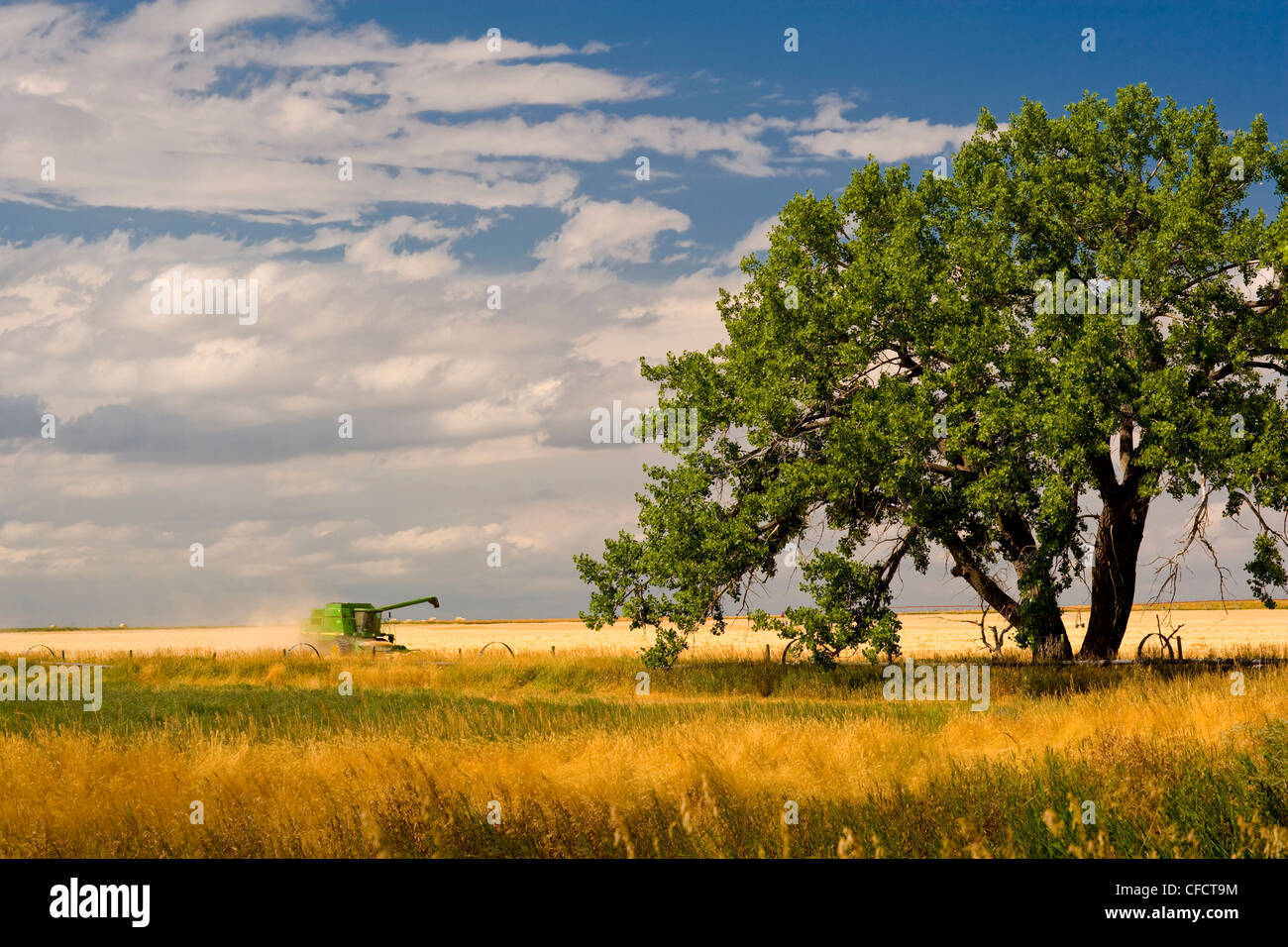 Hayes farm hi-res stock photography and images - Alamy
