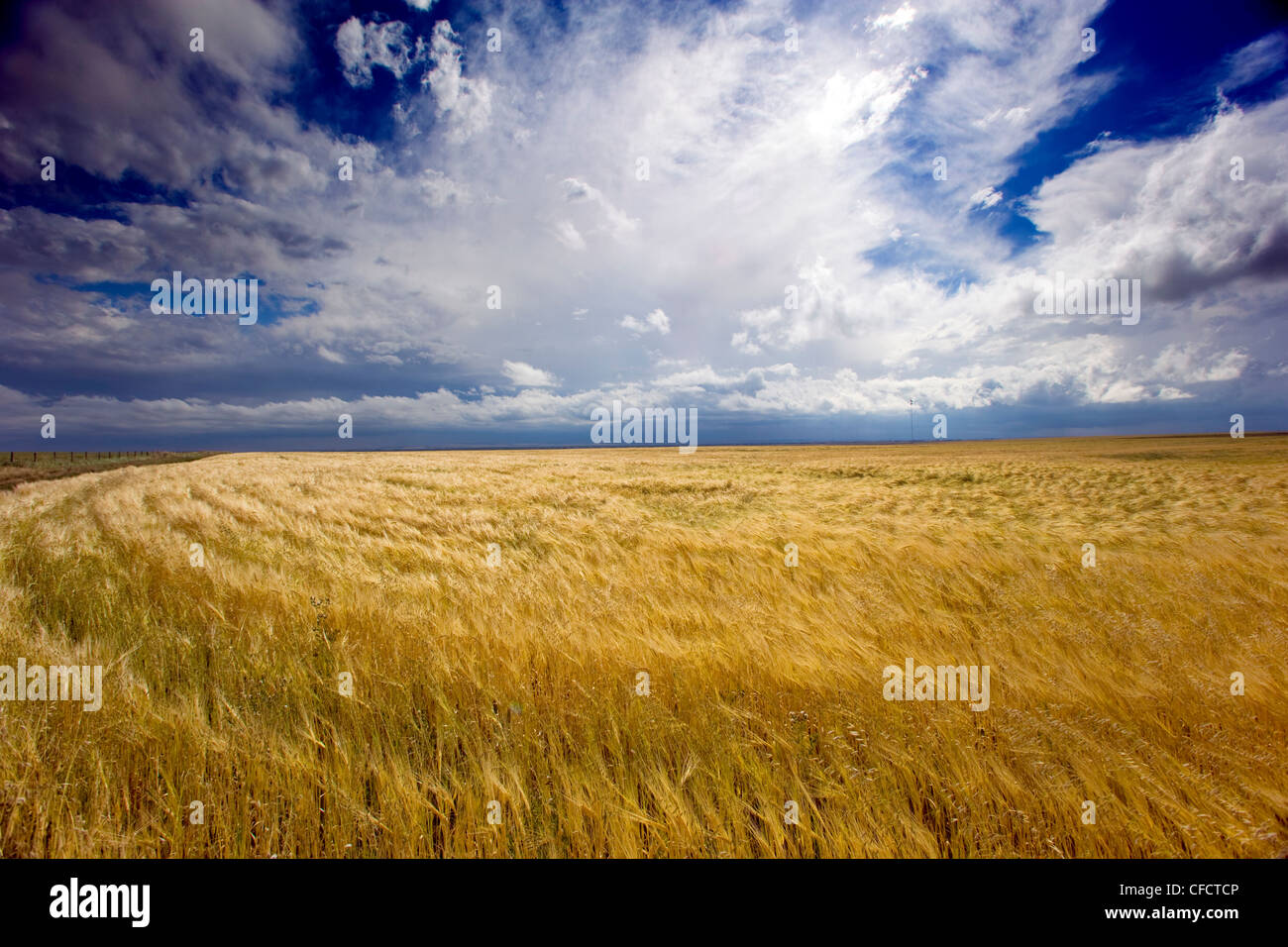 Thunder ridge hi-res stock photography and images - Alamy
