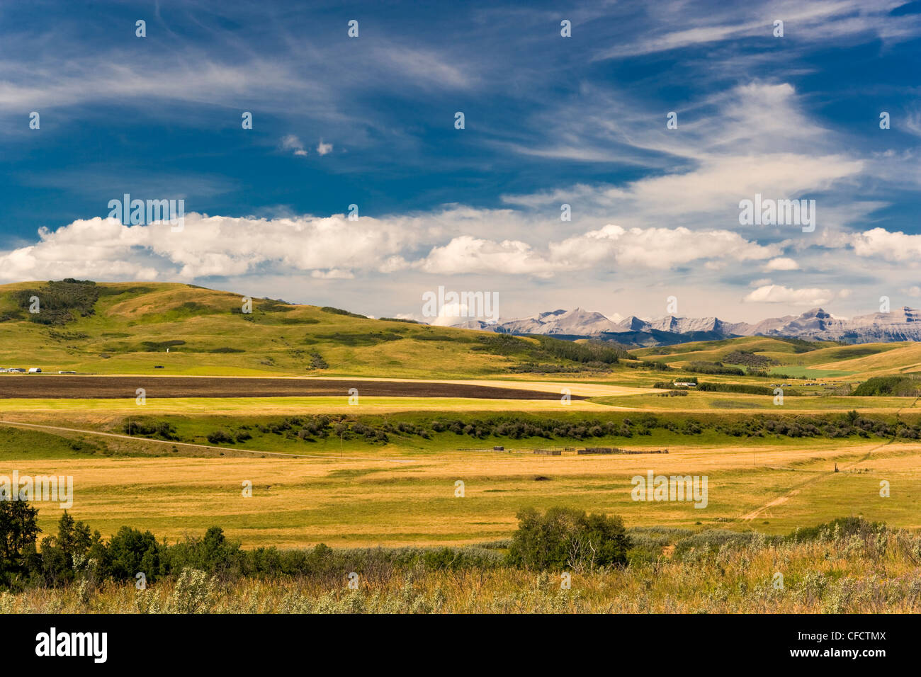 Longview, Alberta, Canada Stock Photo - Alamy