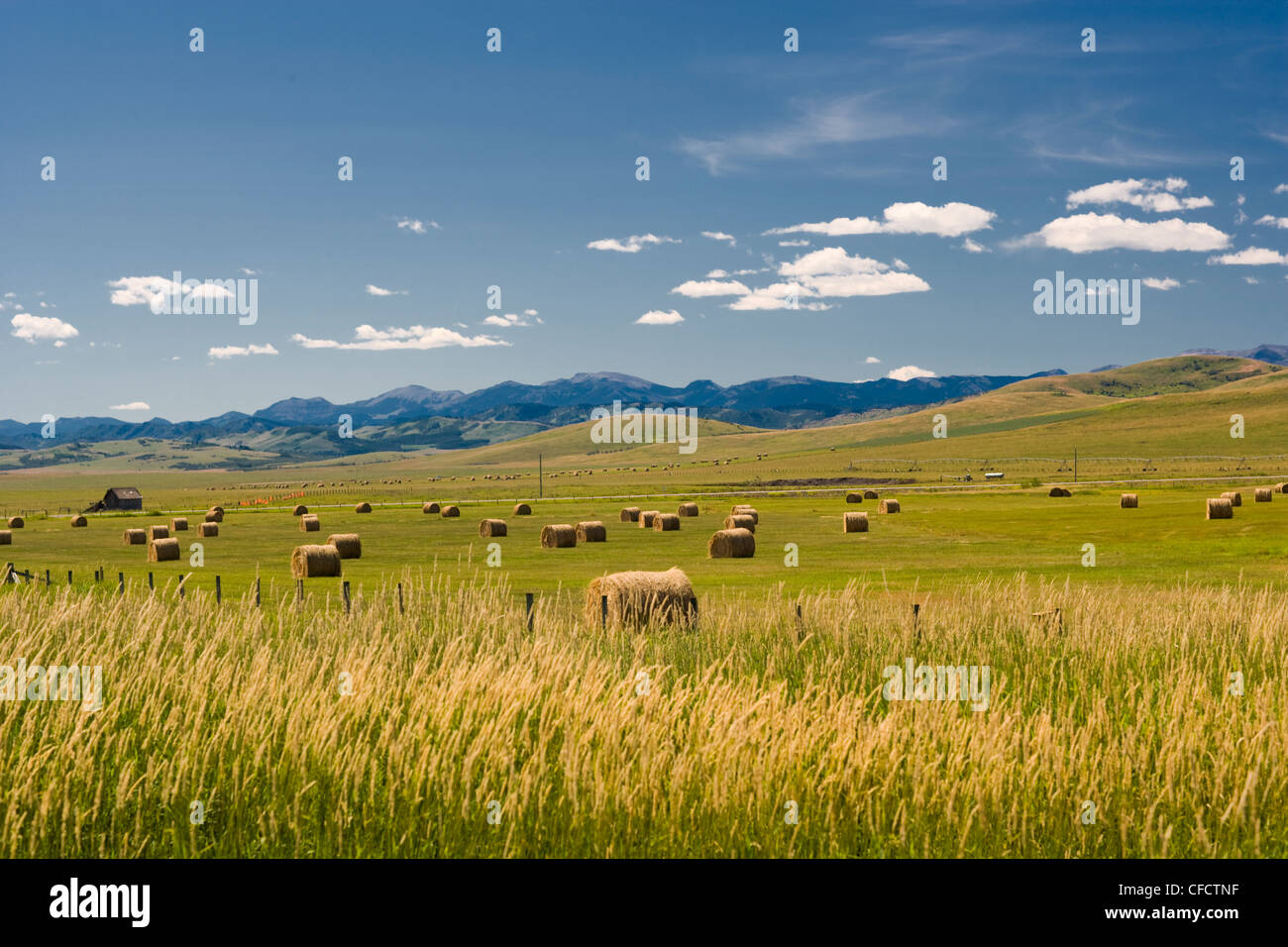 Longview, Crowsnest Highway, Alberta, Canada Stock Photo - Alamy