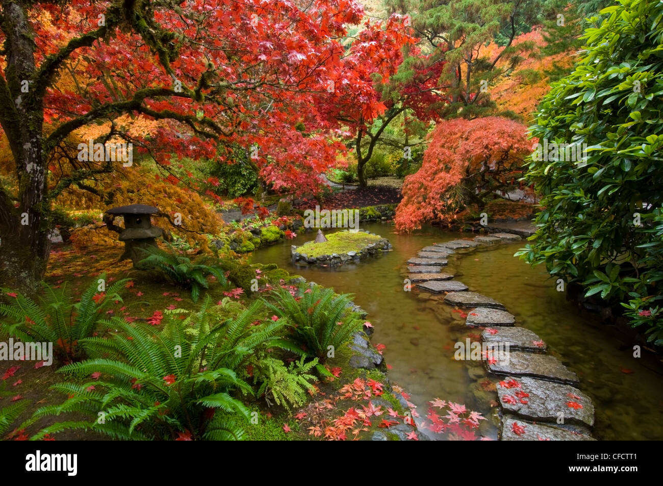 Butchart gardens japanese garden butchart gardens fall color colour hi ...